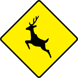 Avoiding Deer Strikes: Essential Tips for Drivers - DrivenAutos.com